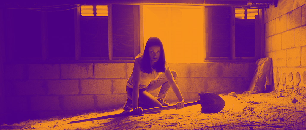 feature image EOF » We Are Cult