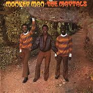 Monkey Man » We Are Cult